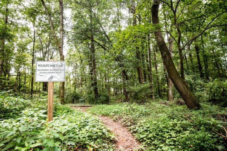 20 Unique June Party Themes To Celebrate Summertime - Peerspace