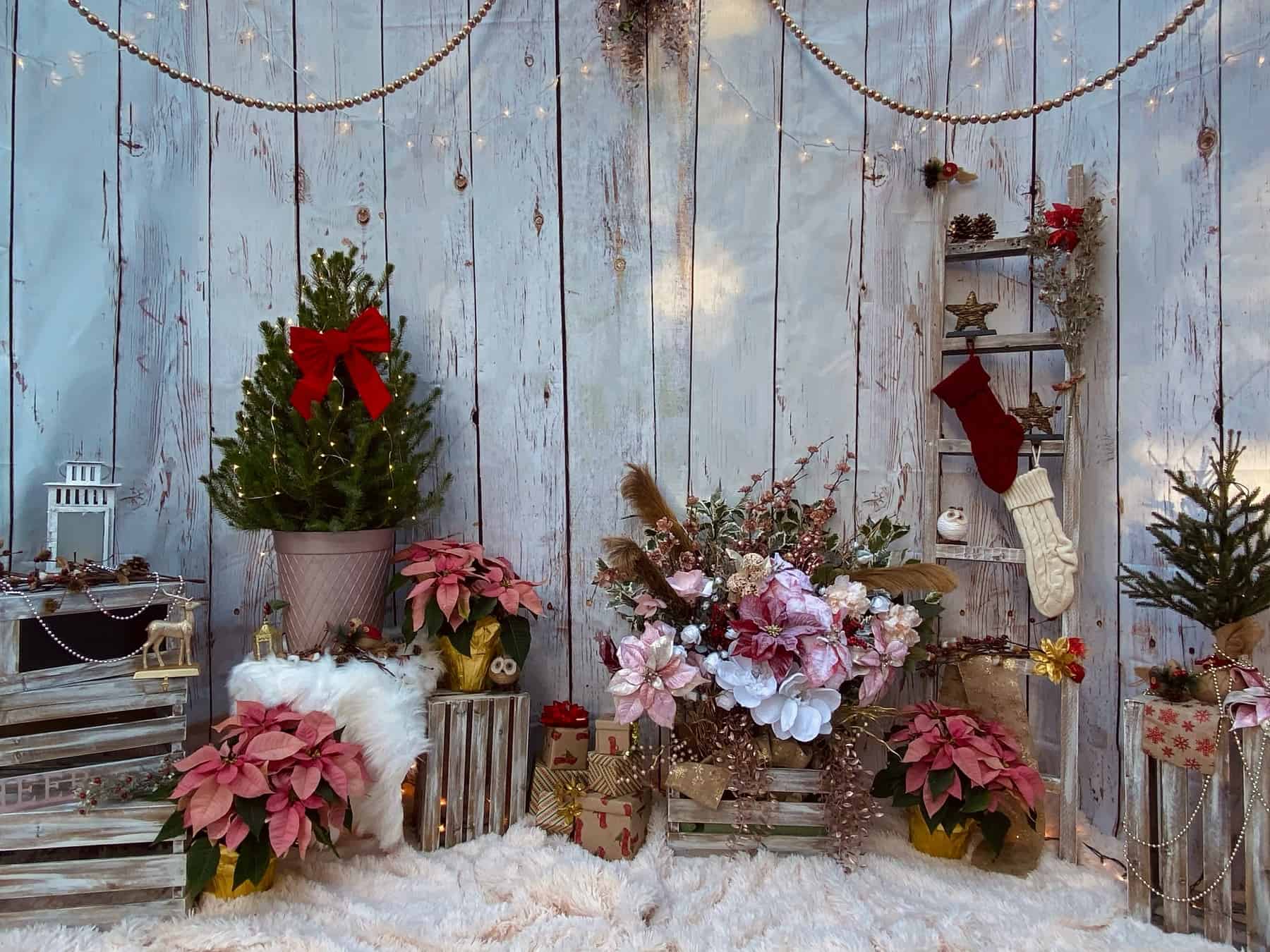 13 Creative Outdoor Christmas Photoshoot Ideas Peerspace
