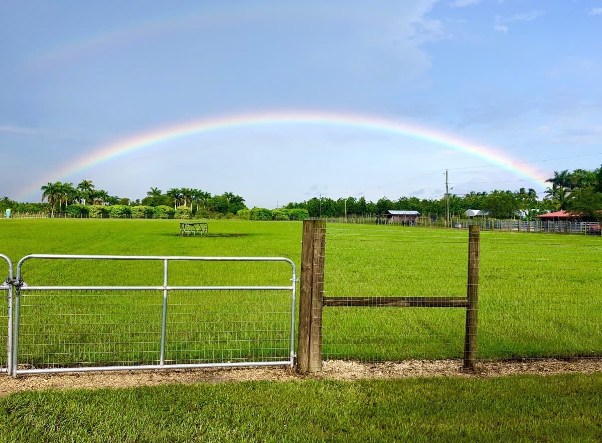 The 9 Best Rooftops and Outdoor Venues in Miami (That You Can Rent on ...