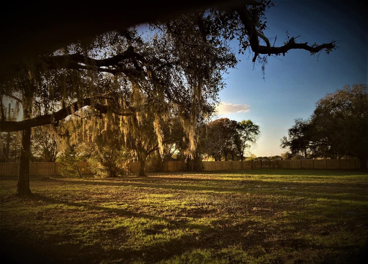 Where Is “Ted Lasso” Filmed? - Peerspace