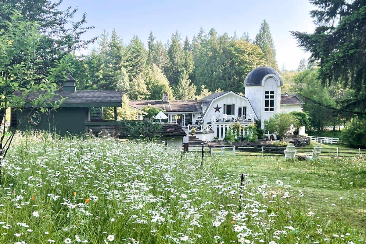 Looking for an Airbnb for a Farm? Try This Instead (2026) - Peerspace
