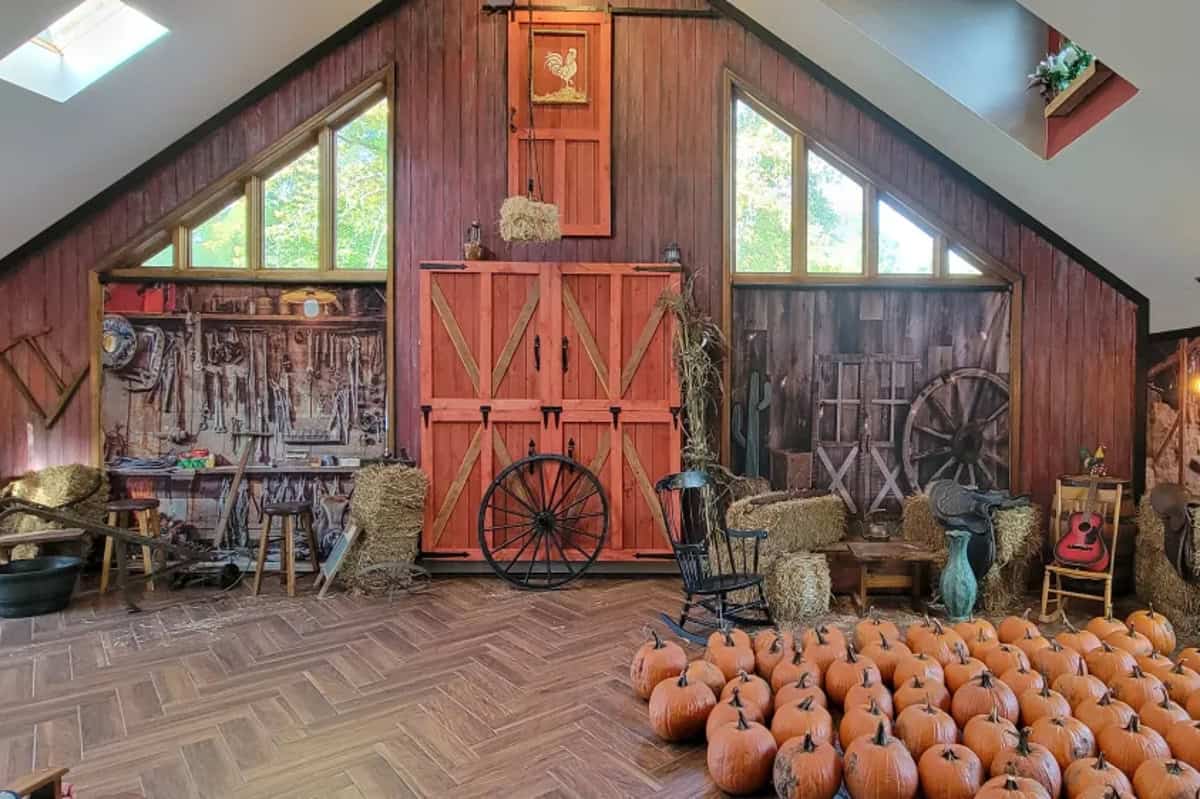 15 Fun Chicago Birthday Ideas For Celebrating In The Windy City - Peerspace