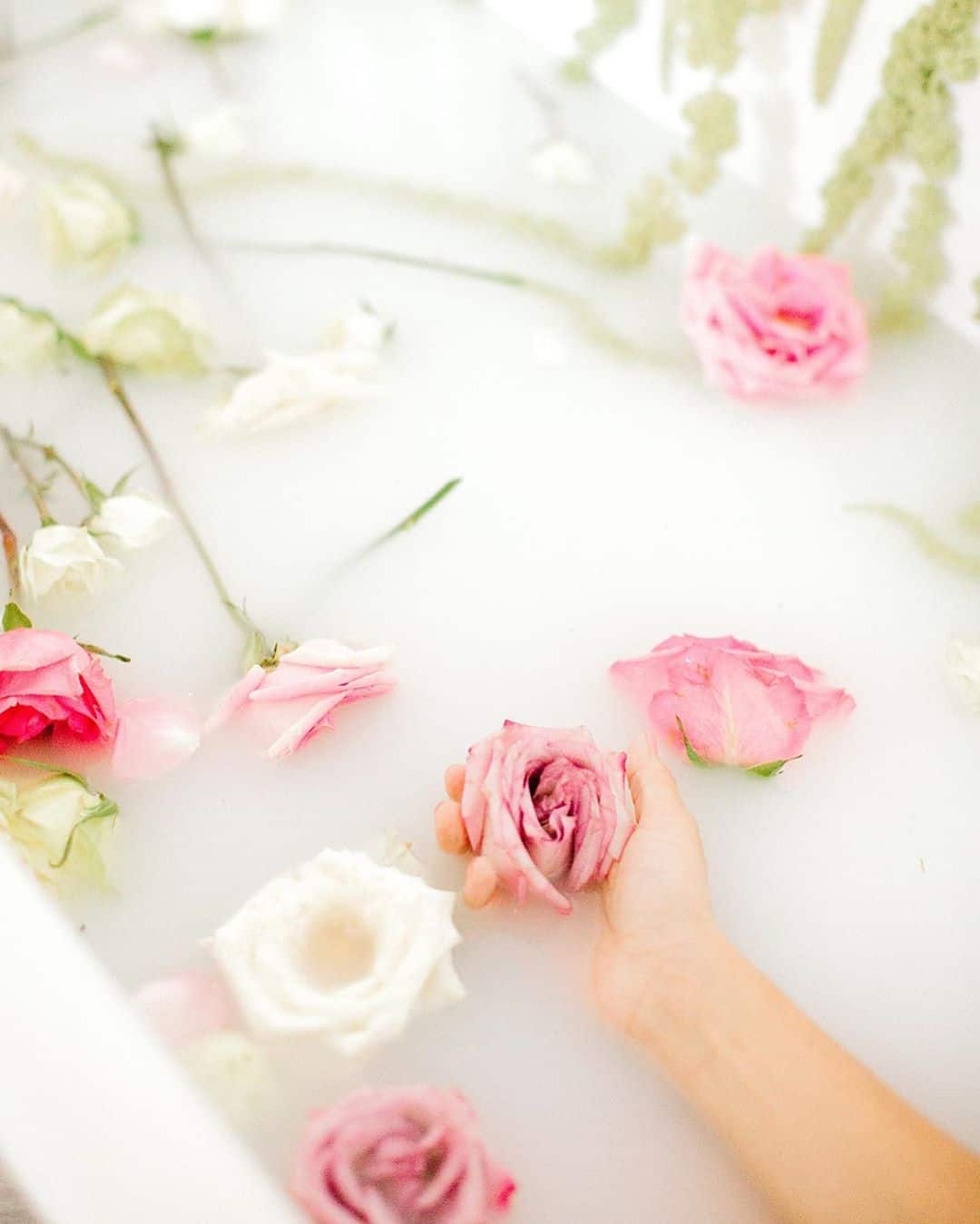 The 5 Best Fine Art Photographers in Virginia Beach - Peerspace