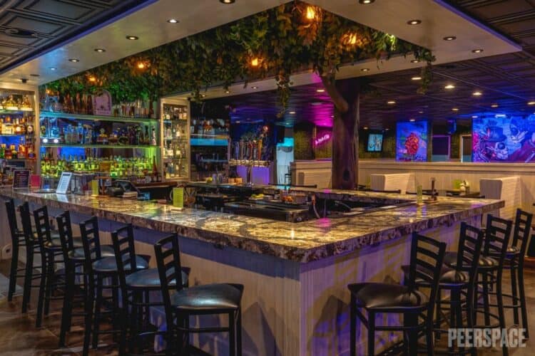 11 Great Dance Party Ideas for Your Next Gathering - Peerspace