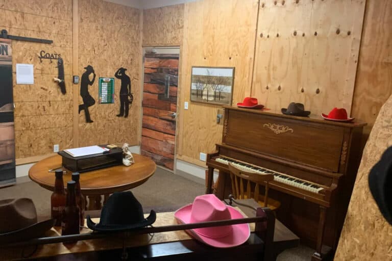 13 Awesome Western Theme Party Ideas (2025) - Peerspace