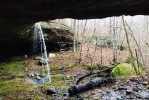 Where Was “Predator” Filmed? - Peerspace