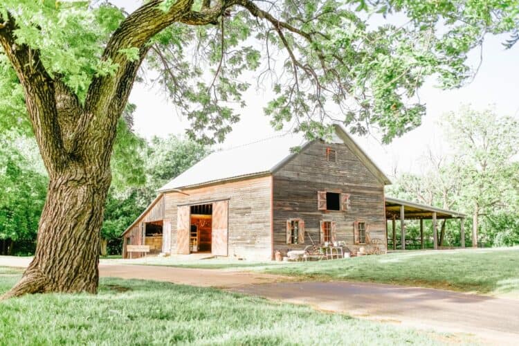 12 Creative Family of Four Photoshoot Ideas - Peerspace