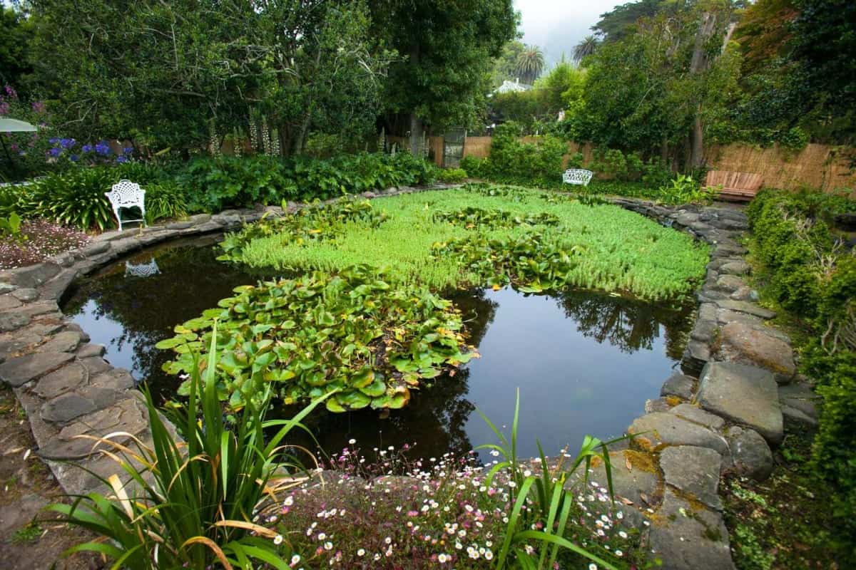 11 Creative Milk Bath Photoshoot Ideas - Peerspace