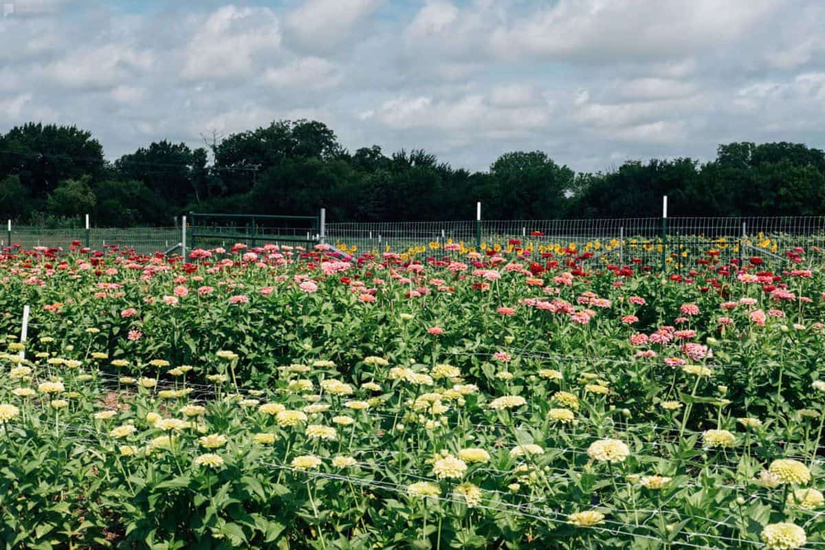 11 Unique March Photoshoot Ideas - Peerspace