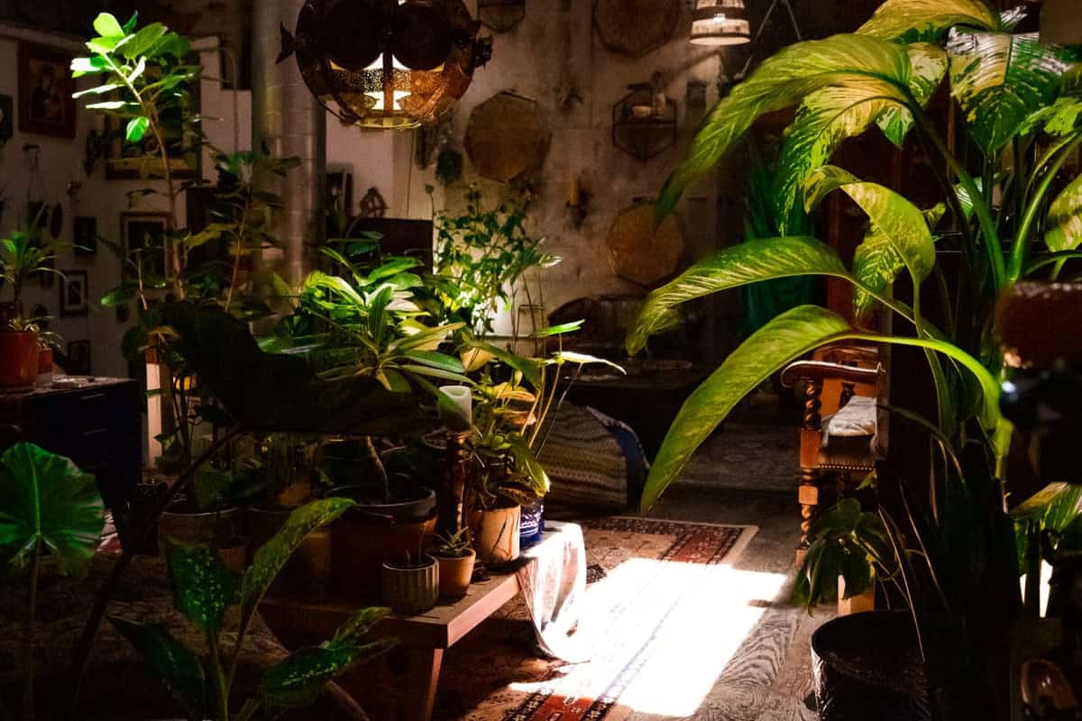 14 Indoor Photoshoot Locations in Houston - Peerspace