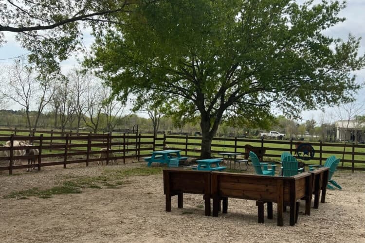 11 Rustic Farm Birthday Party Ideas - Peerspace