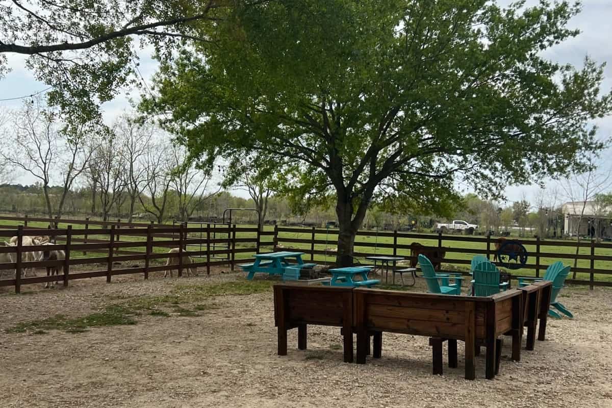 11 Rustic Farm Birthday Party Ideas - Peerspace