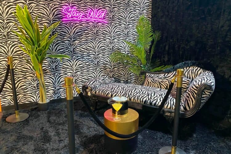 12 Fun Lingerie Party Ideas For Your Group - Peerspace