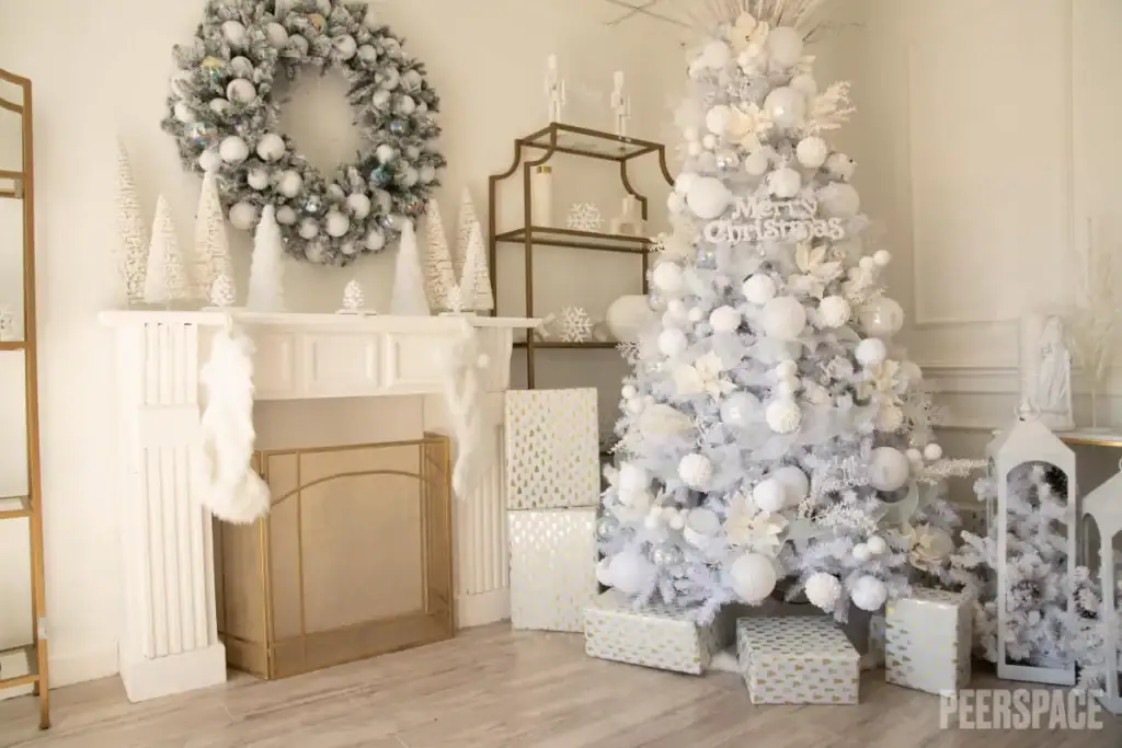 12 Merry Indoor Christmas Photoshoot Ideas (2024) - Peerspace
