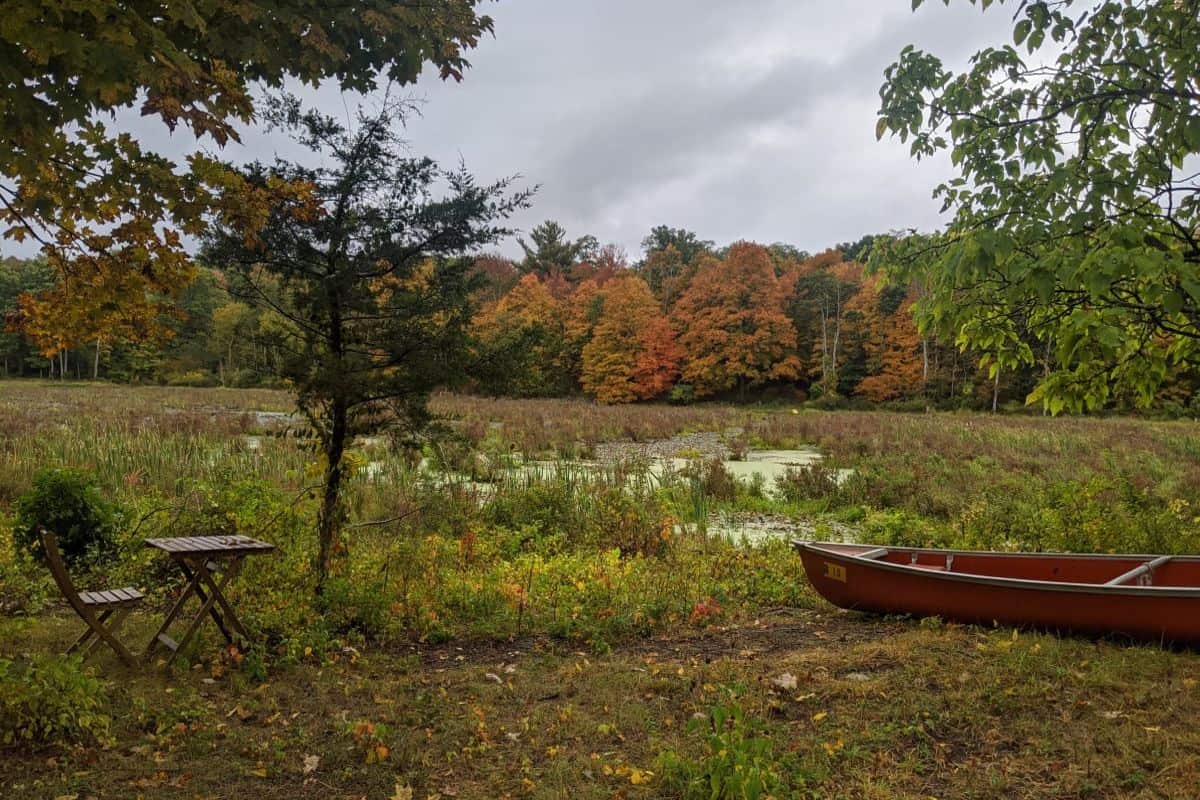 Where Was “The Revenant” Filmed? - Peerspace