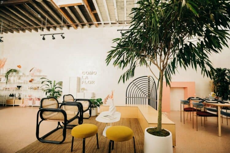 13 Unique Indoor Picnic Ideas To Bring the Vibe Inside - Peerspace