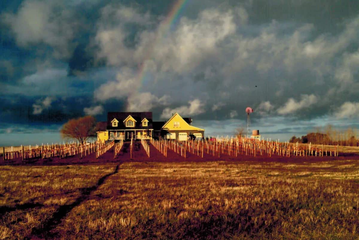 12 Cheap Bachelorette Party Ideas for Bridal Parties on Budgets - Peerspace