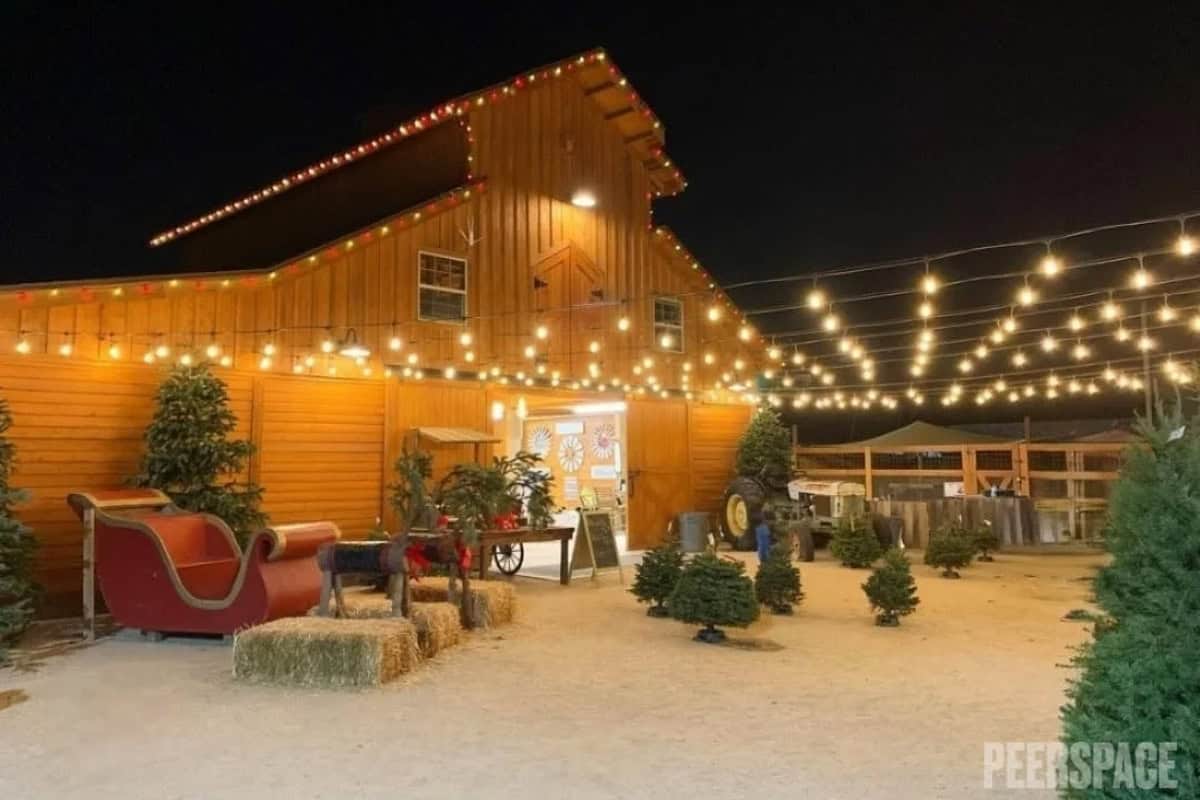 13 Merry Outdoor Christmas Mini Session Ideas - Peerspace