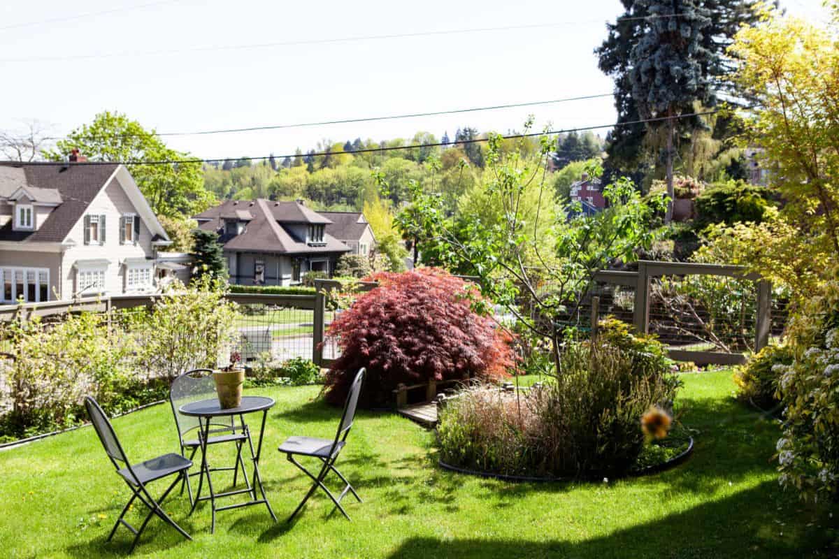 10 Dreamy Outdoor Photoshoot Locations Near Seattle - Peerspace