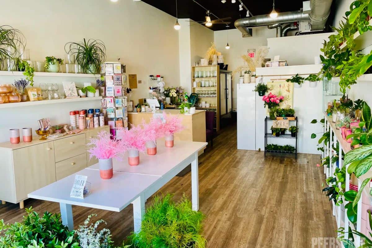 11 Beautiful Micro Wedding Venues in Boston - Peerspace