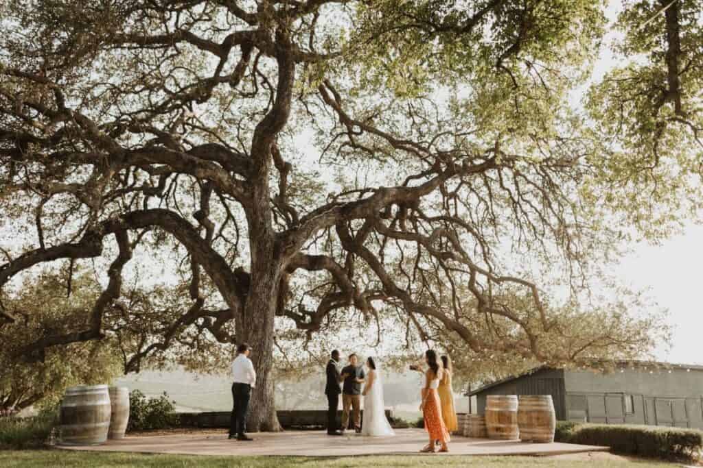 13 Creative Fall Gender Reveal Ideas To Maximize the Quaint Coziness ... 13 Creative Fall Gender Reveal Ideas To Maximize the Quaint Coziness ...