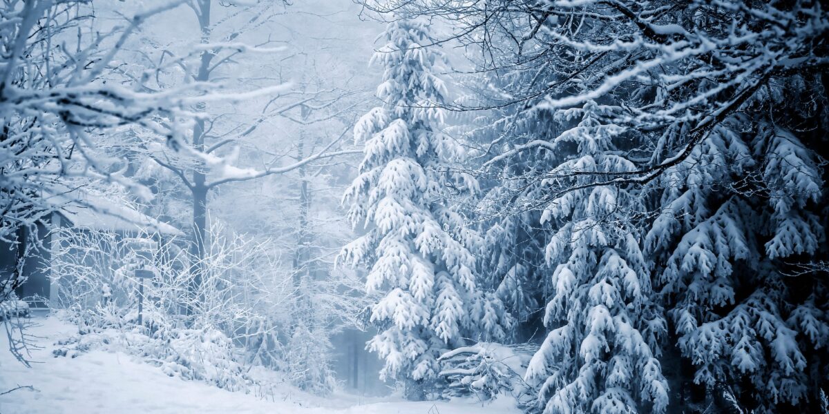 Where Was “The Revenant” Filmed? - Peerspace