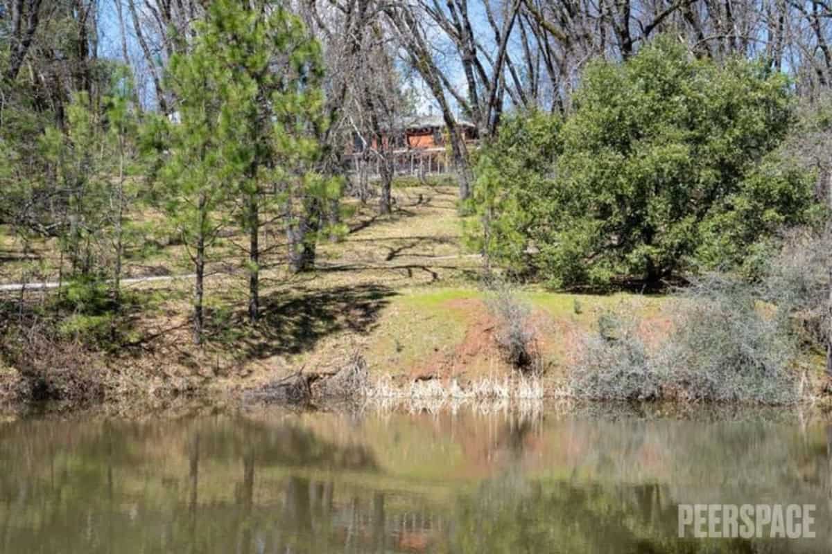 18 Non-Traditional Unity Ceremony Ideas For A Special Day - Peerspace